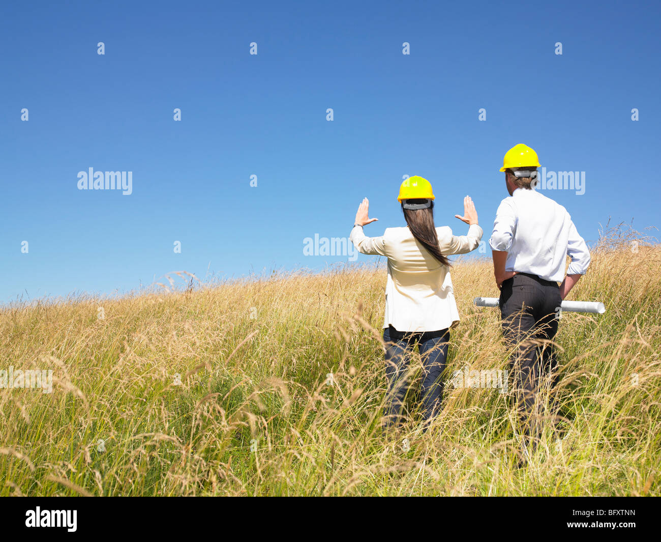 contractors with blueprints in field Stock Photo - Alamy