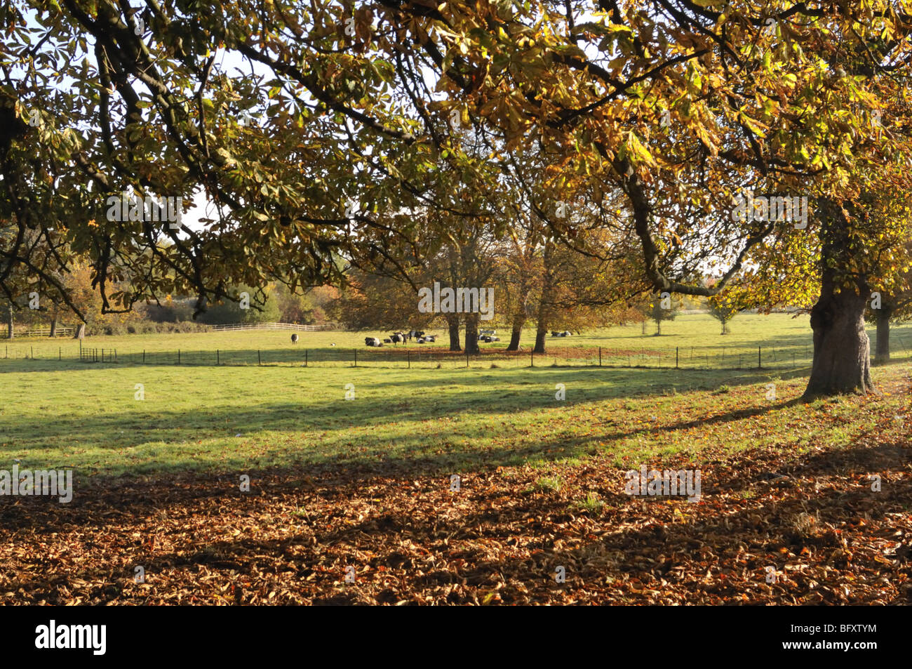 English town hi-res stock photography and images - Alamy