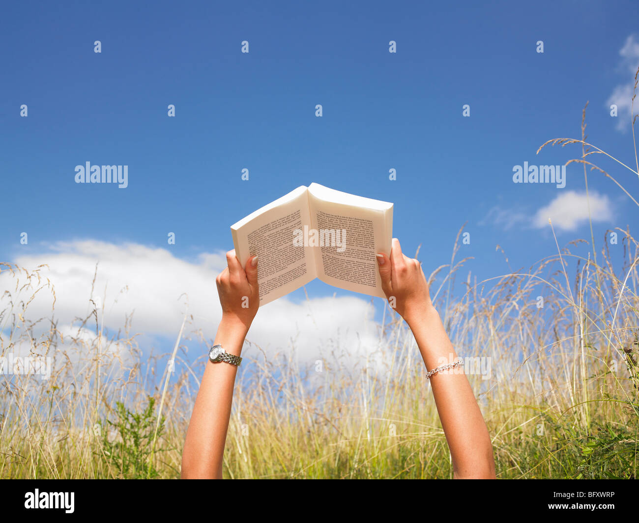 woman reading in field of high grasses Stock Photo - Alamy