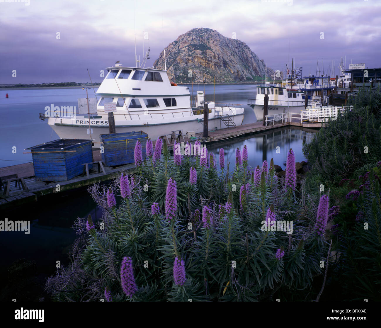 AA04919-02...CALIFORNIA - Boat dock and Morro Rock at Morro Bay Stock ...