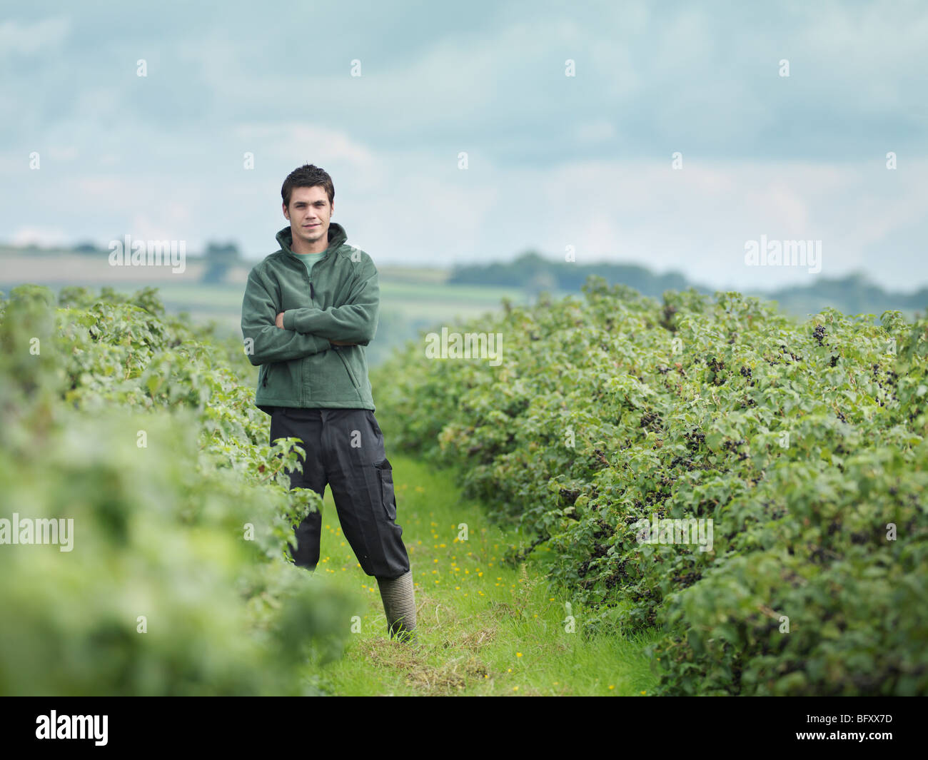 Full Portrait Of Young Man Standing High Resolution Stock Photography ...