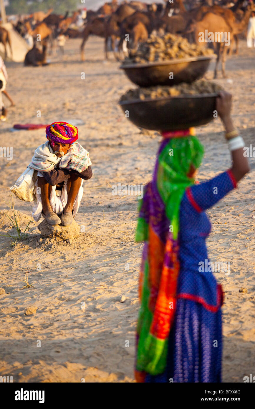 Camel dung biofuel at the Camel Fair in Pushkar India Stock Photo - Alamy