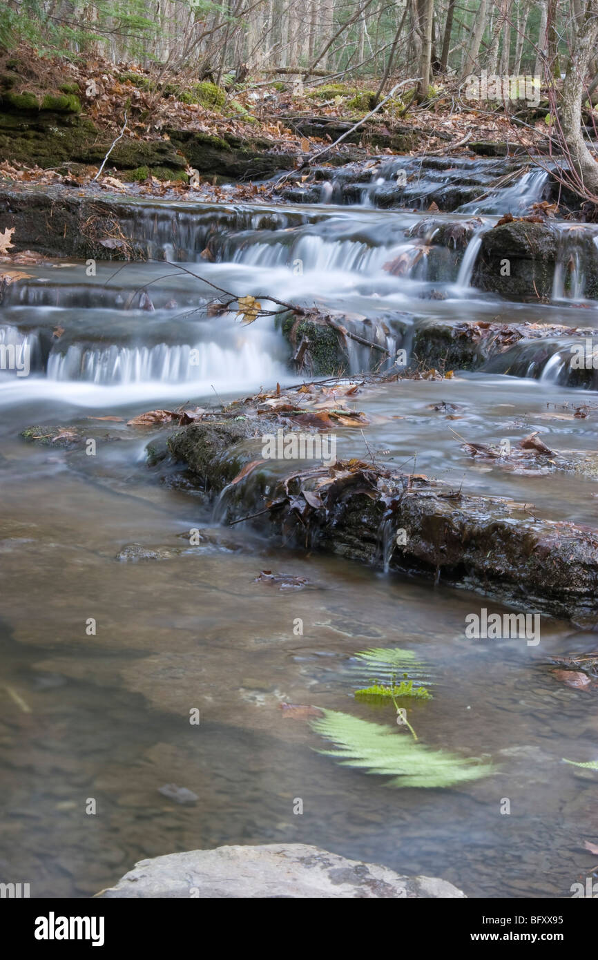 waterfall in late autumn Thatcher Boyd Park upstate NY Stock Photo - Alamy