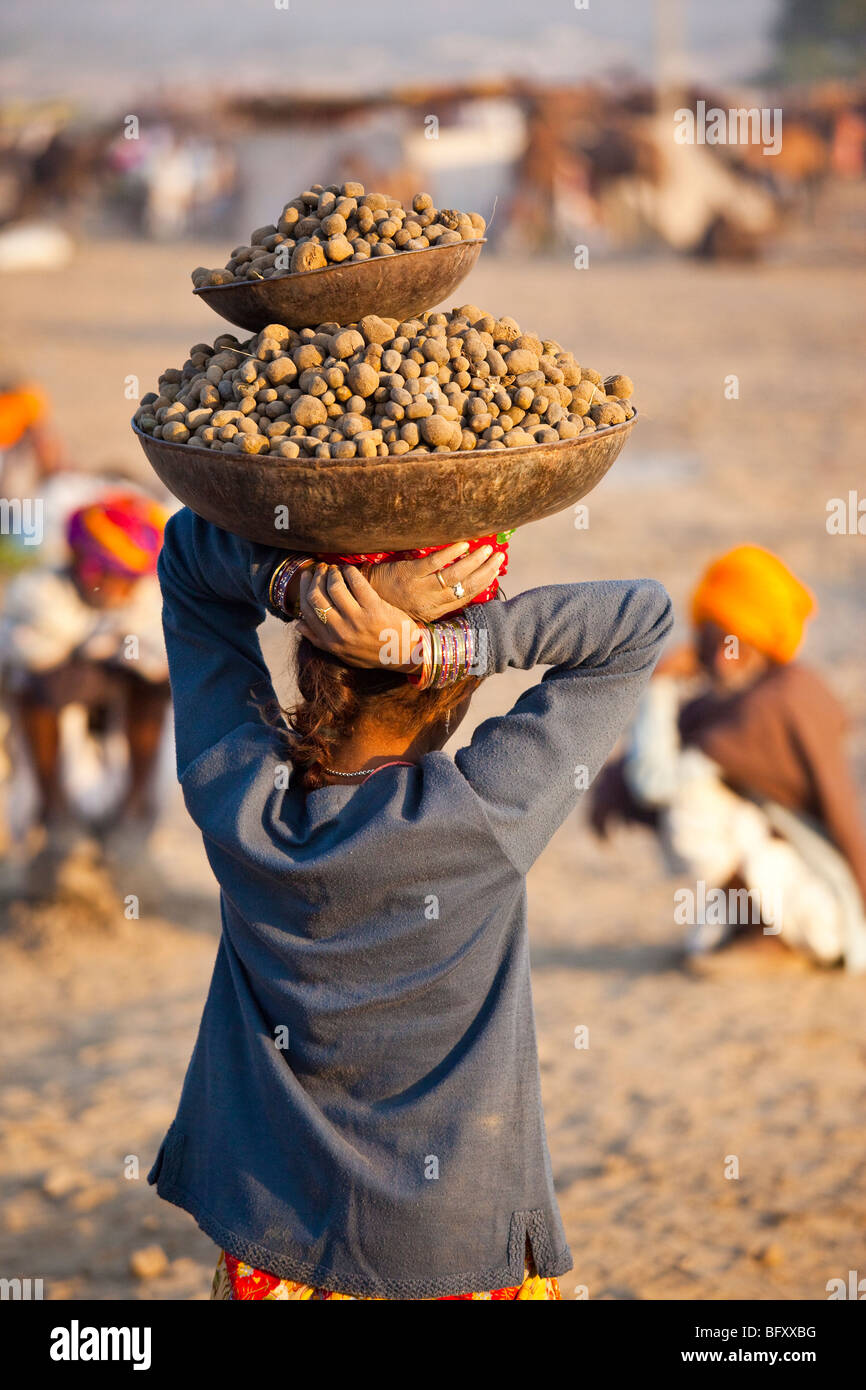 Camel dung biofuel at the camel fair hi-res stock photography and ...