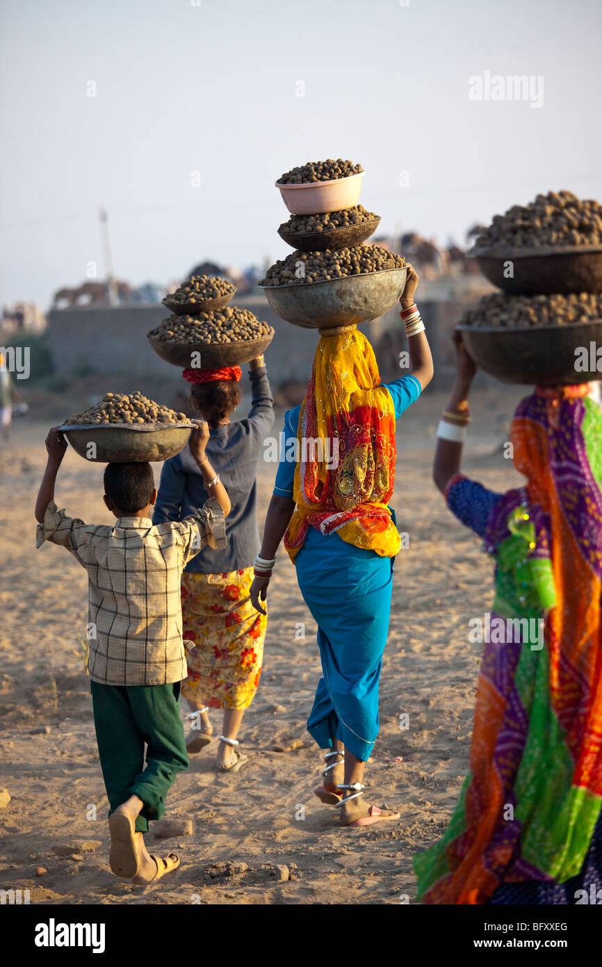 Camel dung biofuel at the camel fair hi-res stock photography and ...