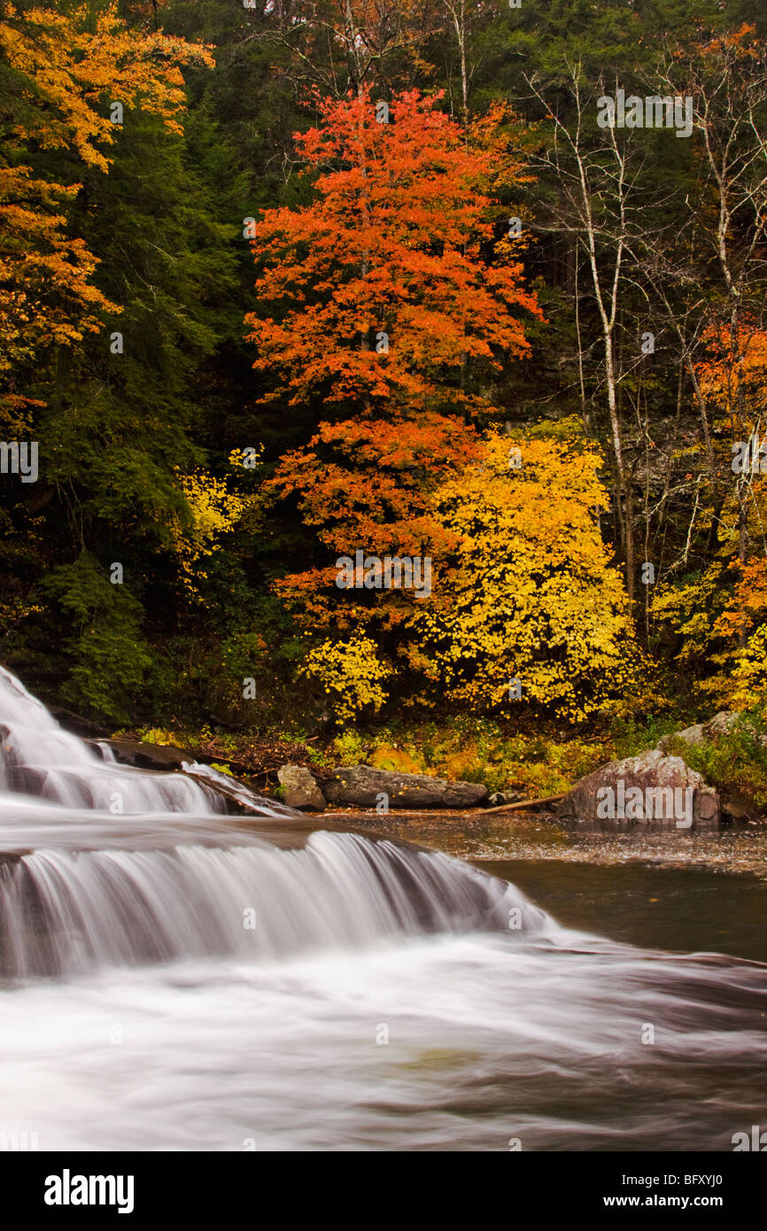 Cane Creek Falls at Fall Creek Falls State Park, Tennessee Stock Photo ...