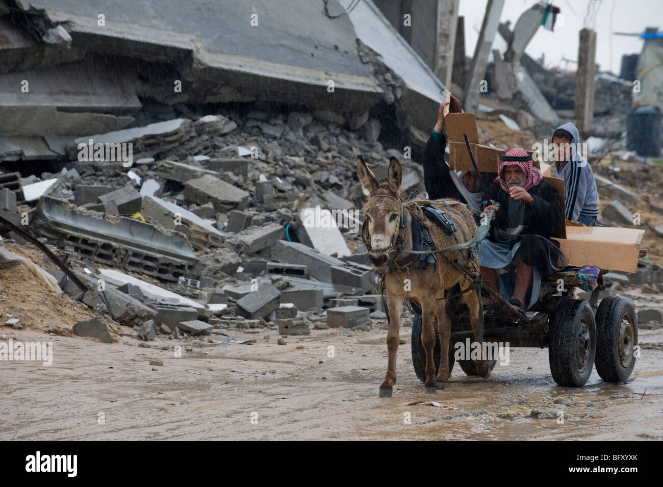 Palestinian with donkey hi-res stock photography and images - Alamy