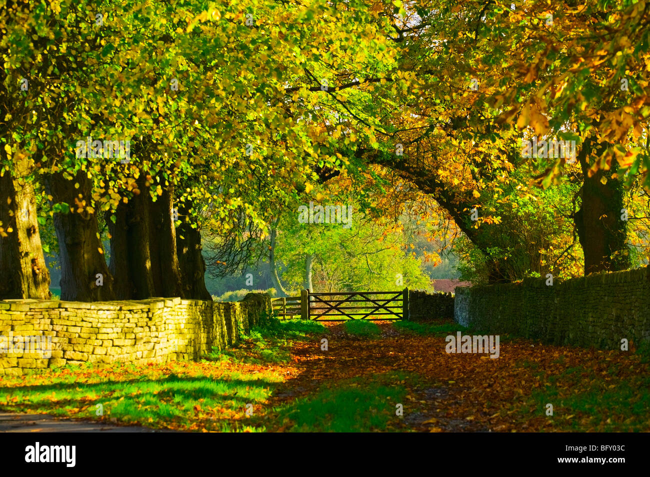 Countryside in the Cotswolds England in autumn Stock Photo - Alamy