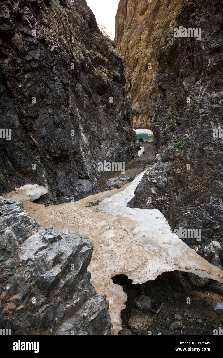An ice formation survives year-round in a narrow canyon at Yolyn Am in ...