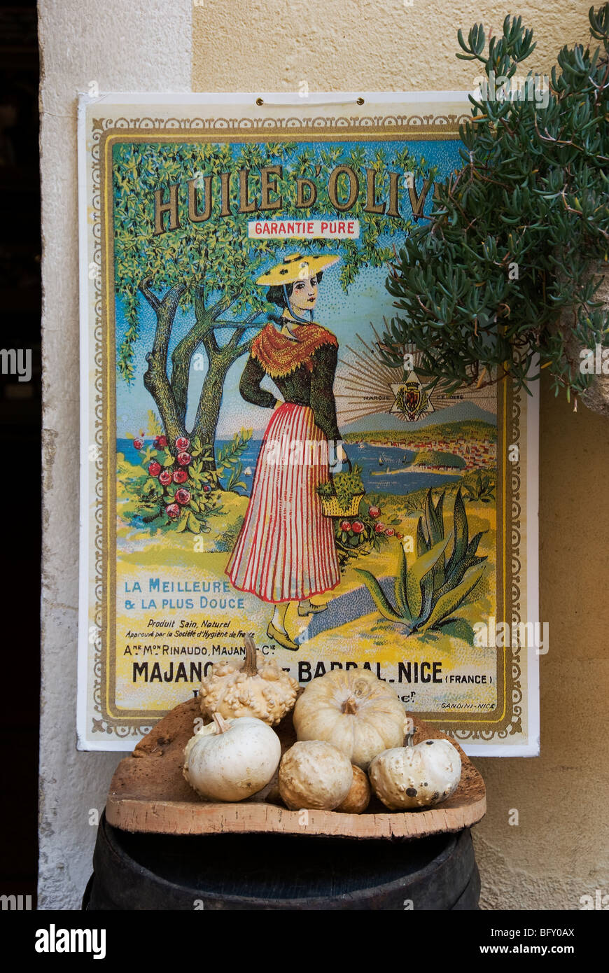 Garlic display by French picture poster Stock Photo - Alamy