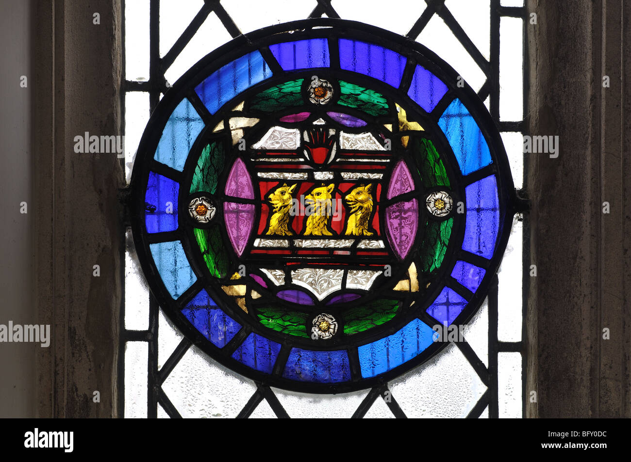 Medieval stained glass roundel in St. Michael`s Church, Begbroke ...