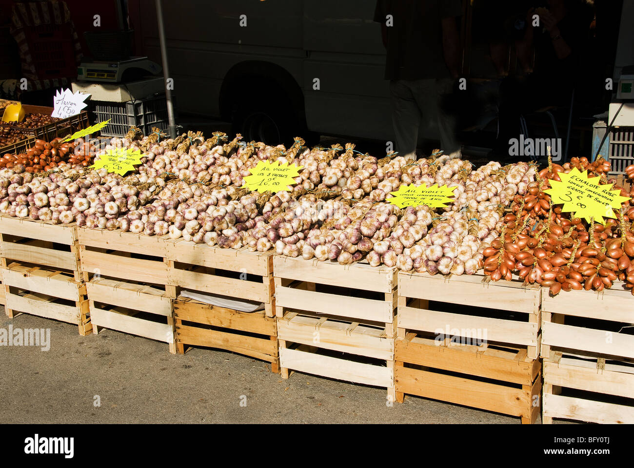 Garlic on display in the market Stock Photo - Alamy