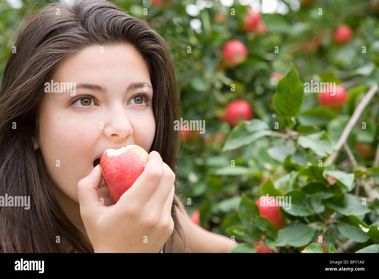 Eating red apple 01 Stock Photo - Alamy