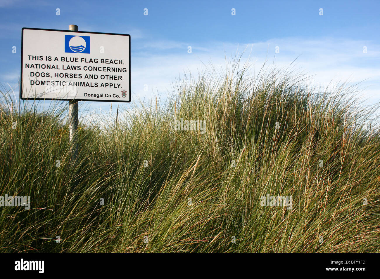 Blue flag beach sign in the dunes at Stocker Strand, County Donegal ...