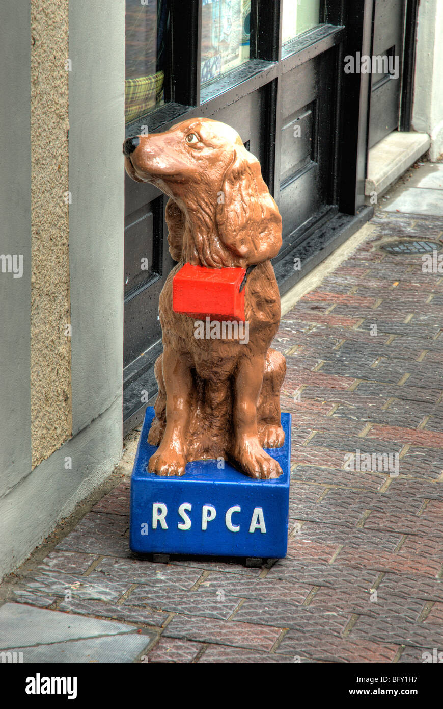 Rspca dog hi-res stock photography and images - Alamy