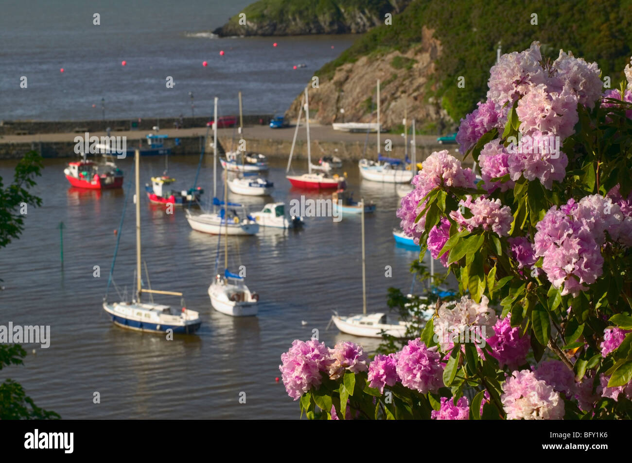 Lower Fishguard Pembrokeshire Wales Stock Photo - Alamy