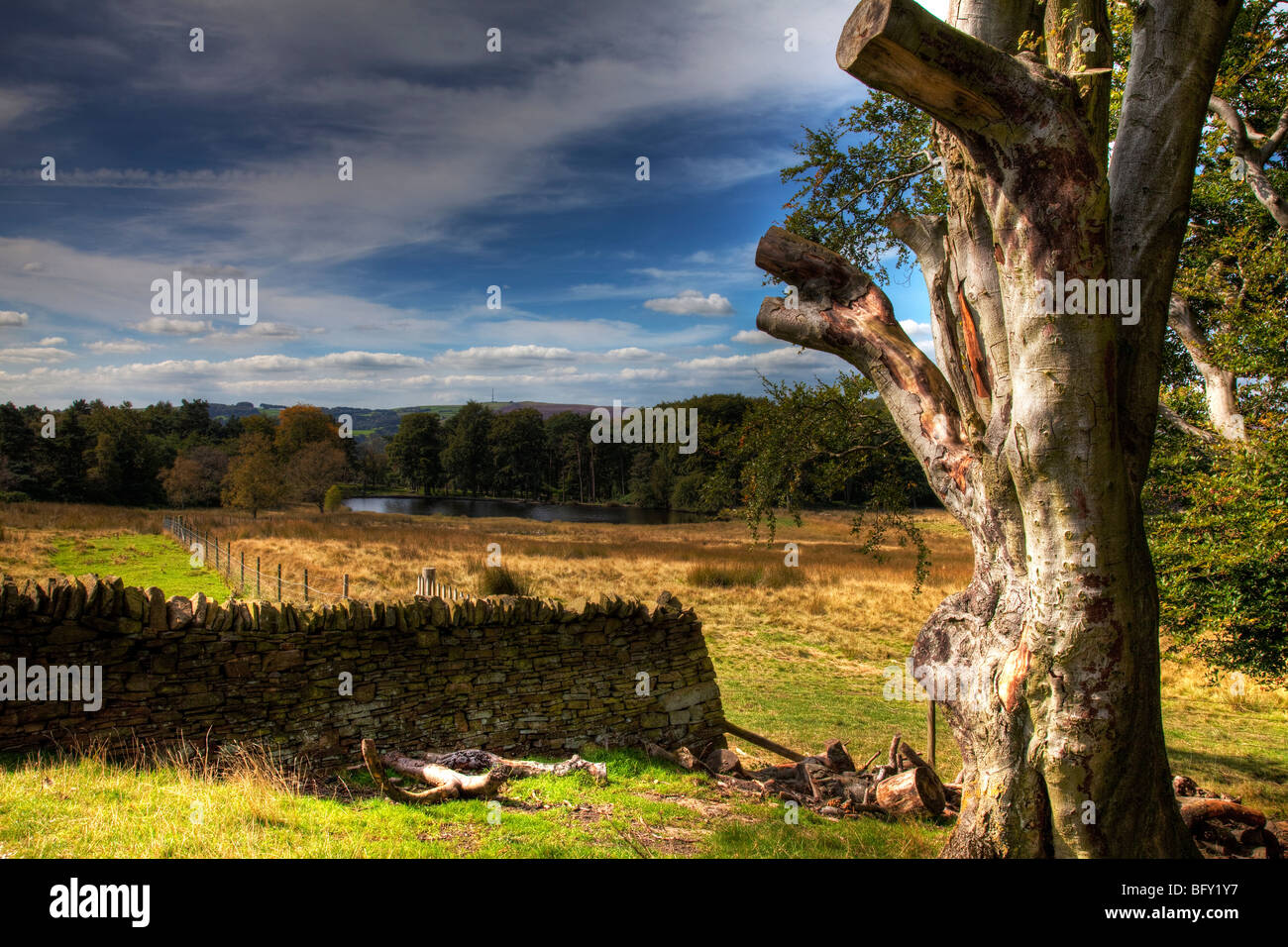 Autumn colour on the Longshaw Estate near Grindleford in the Peak ...