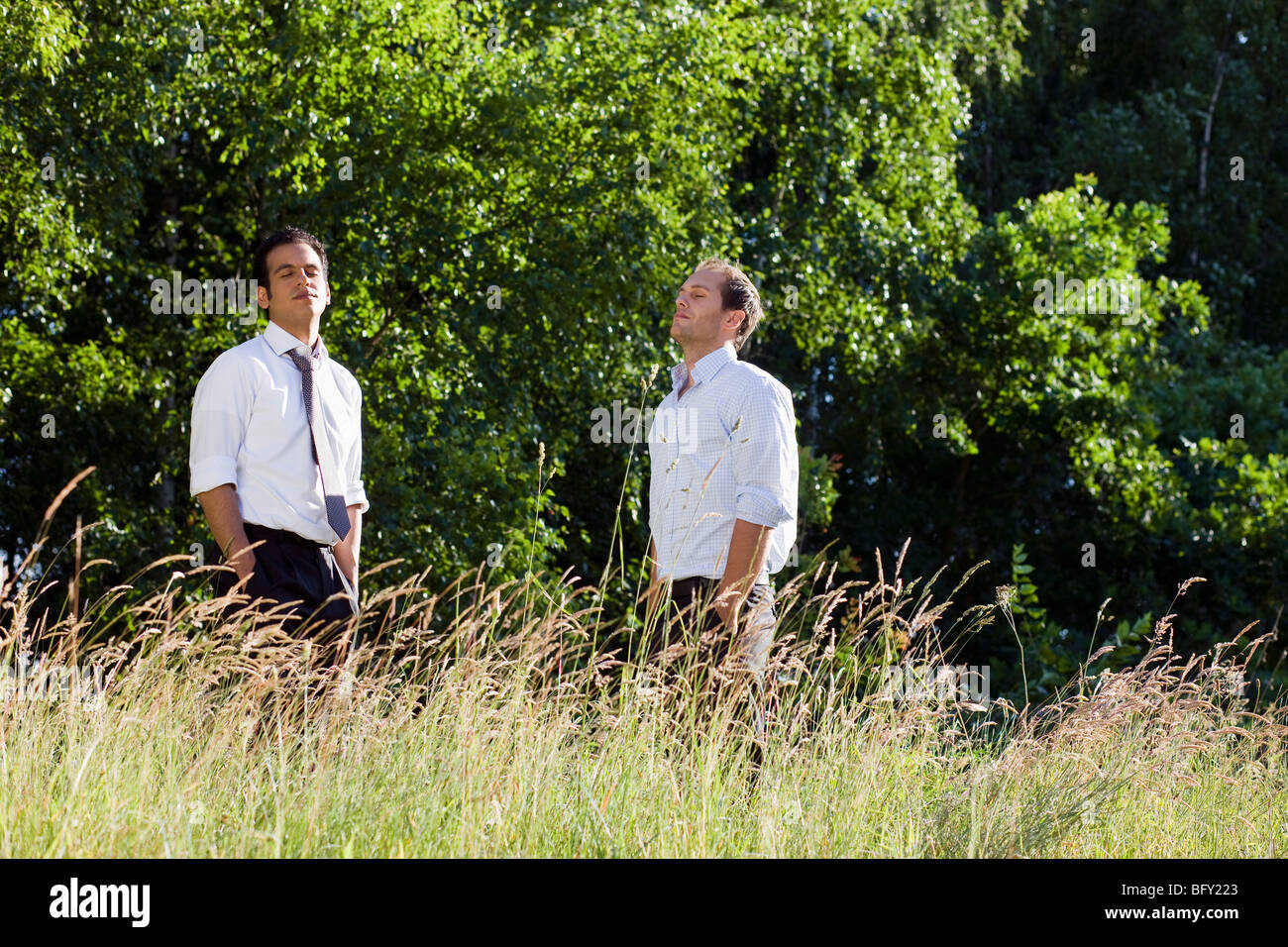 two businessmen standing in field Stock Photo - Alamy