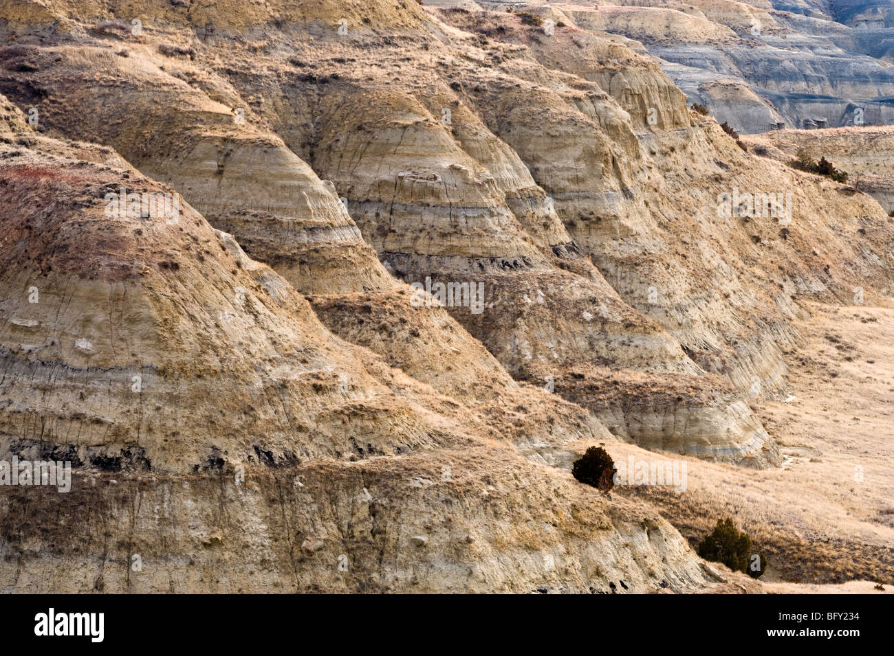 Eroded slopes in Little Missouri River valley, Theodore Roosevelt ...
