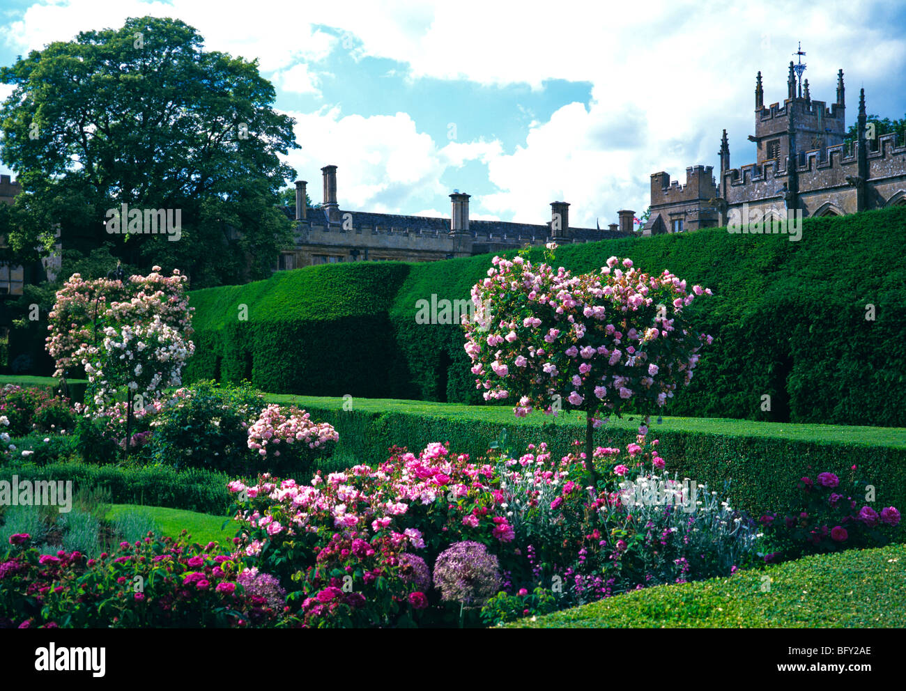 The Queen's Garden with flowering Roses in summer at Sudeley Castle ...