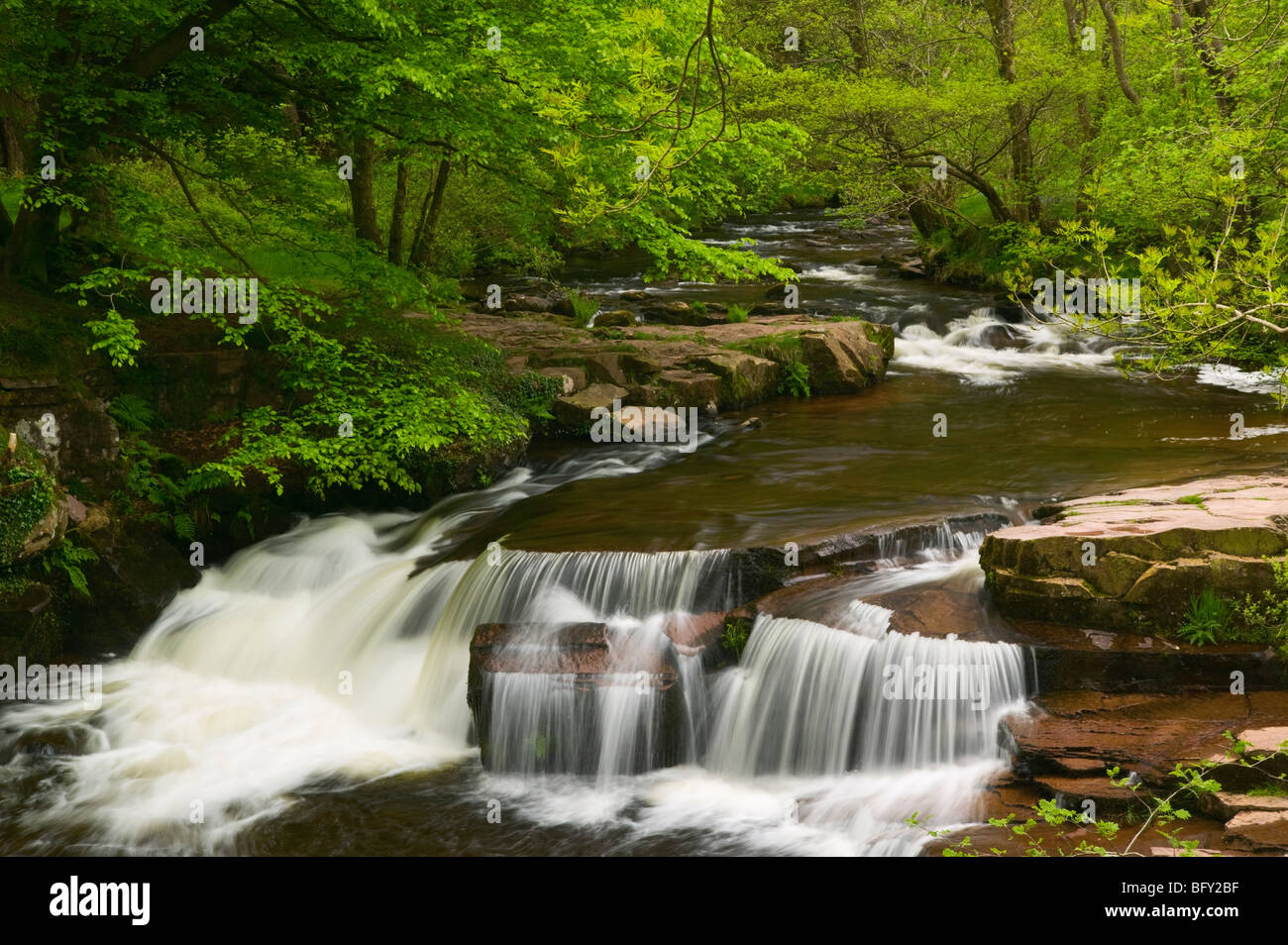 Taf Fechan Stream Brecon Beacons Powys Wales Stock Photo - Alamy