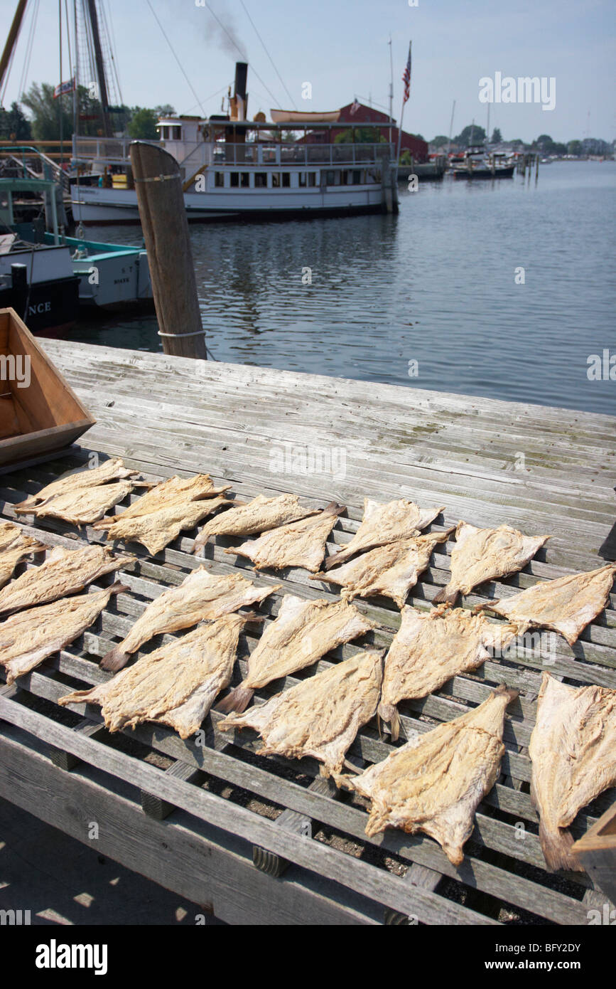Fish drying in the sun at a port Stock Photo - Alamy