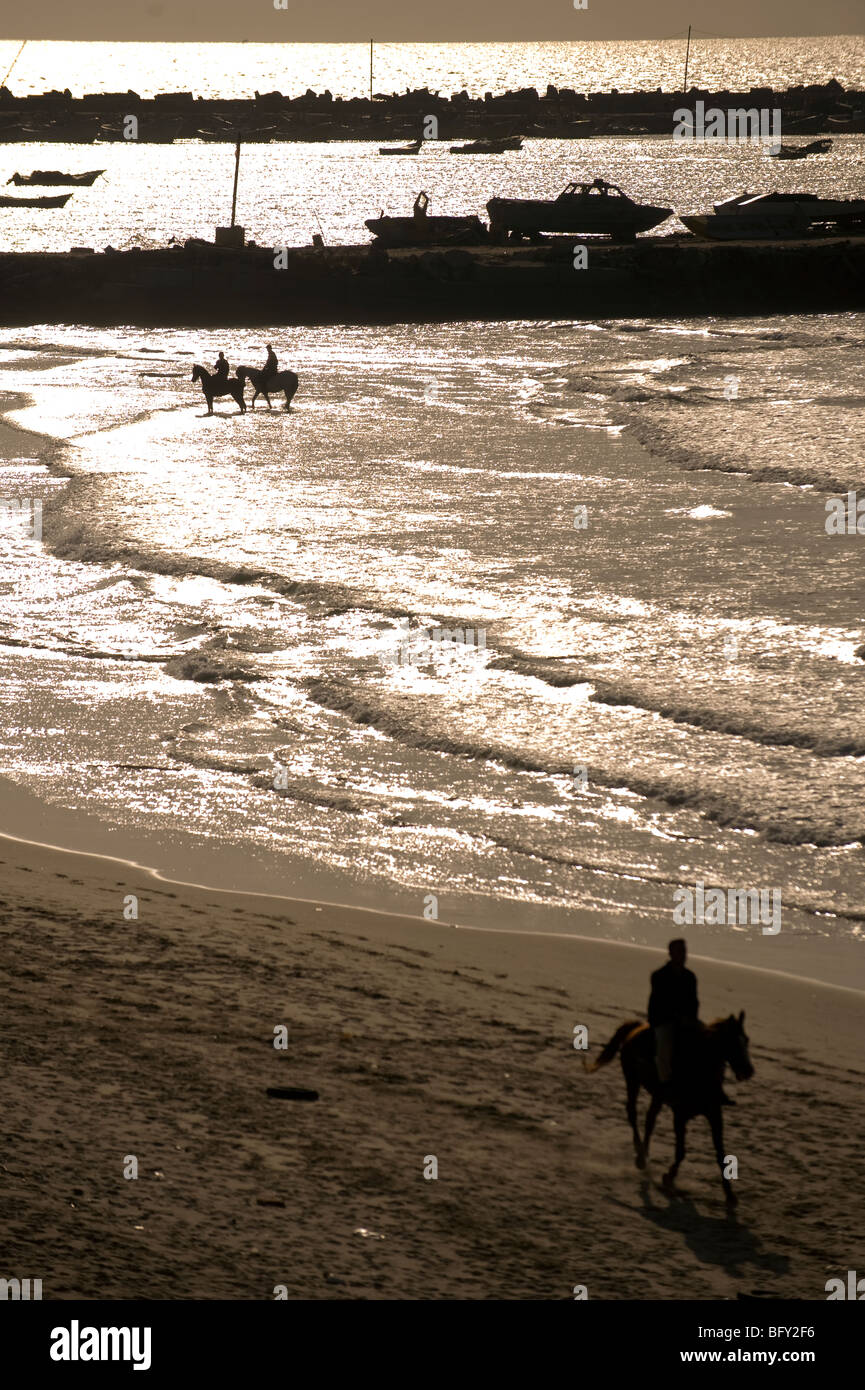 Palestine horses hi-res stock photography and images - Alamy