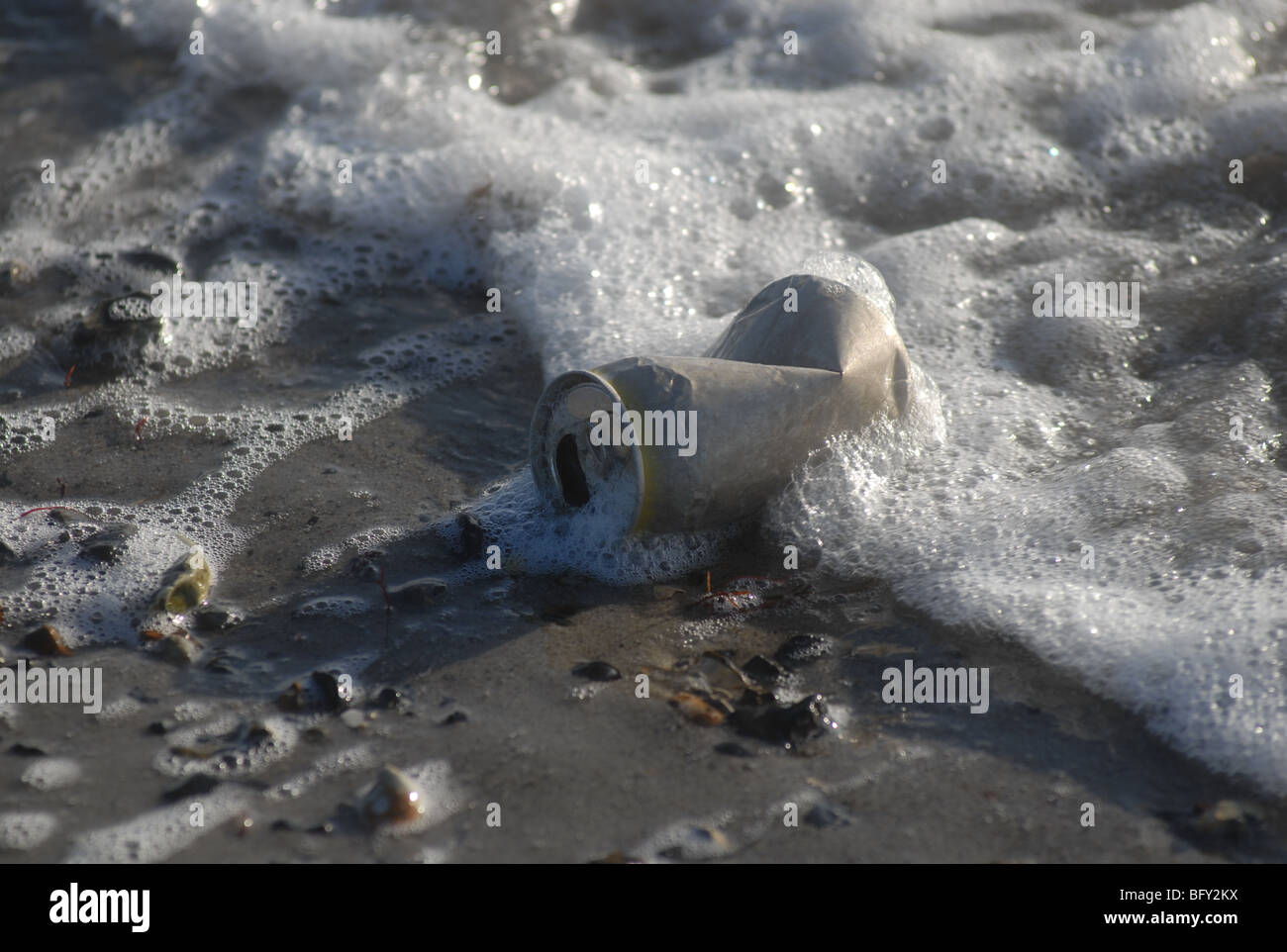 polluted waters,washed up Stock Photo - Alamy