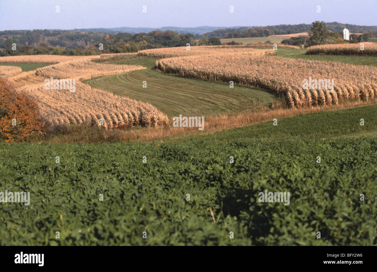 Alfalfa and corn hi-res stock photography and images - Alamy