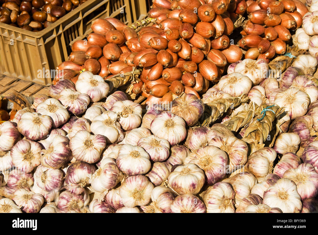 Garlic on display in the market Stock Photo - Alamy