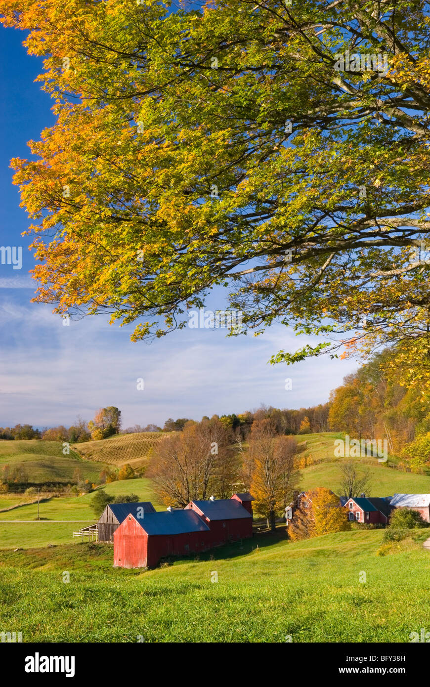 Jenne Farm in autumn Vermont USA Stock Photo - Alamy