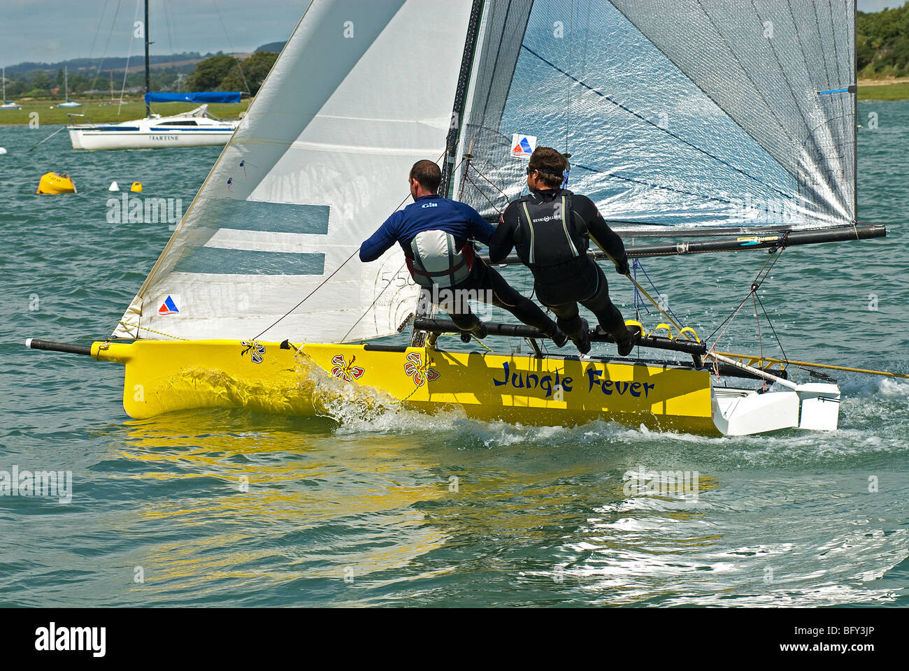 Jungle fever hi-res stock photography and images - Alamy