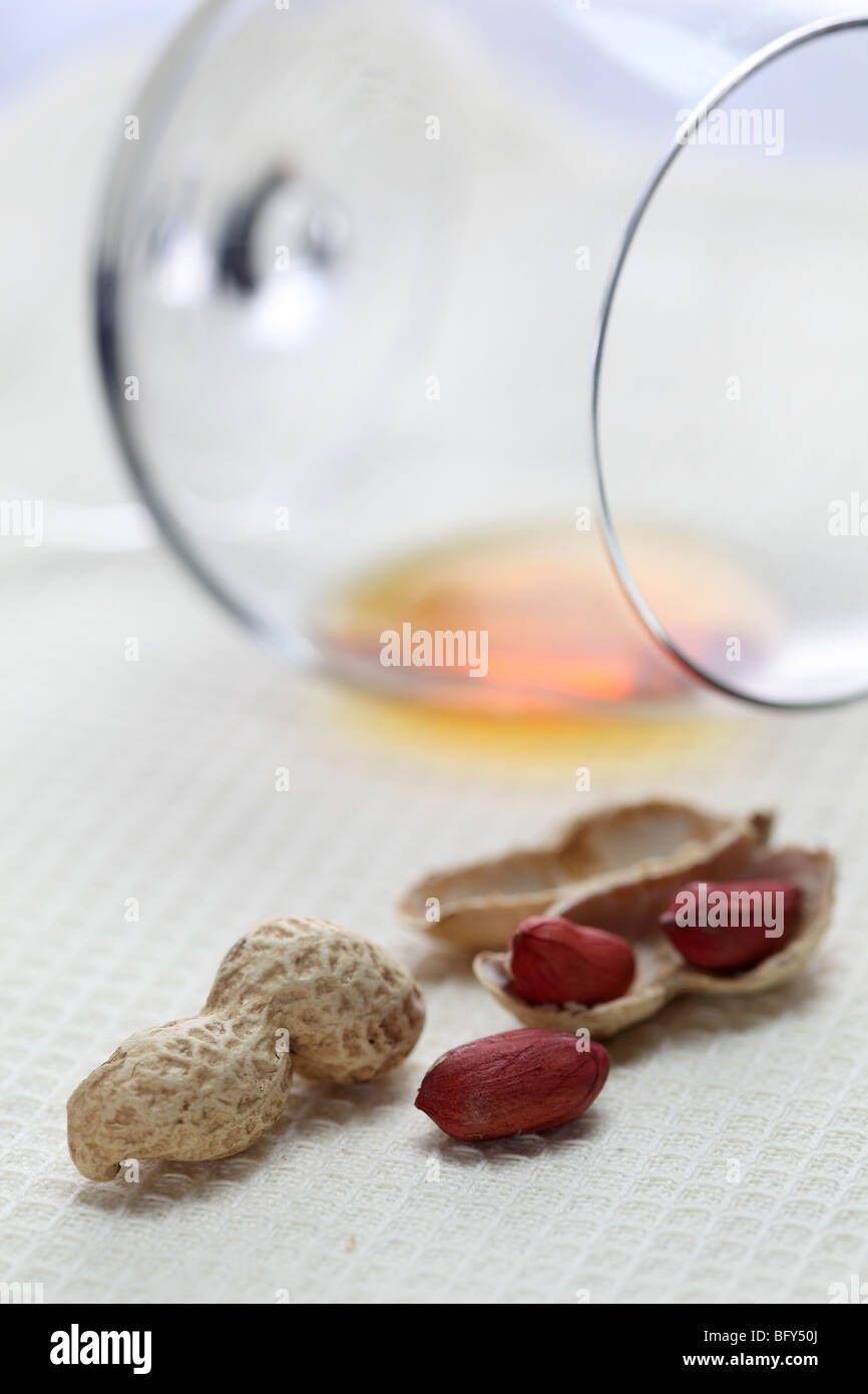 Monkey nuts peanuts shelled shell Arachis hypogaea roast red skinny eat ...