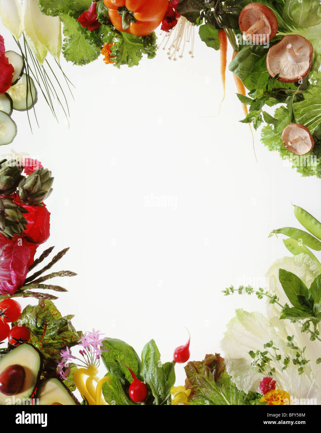 Assorted salad vegetables and ingredients on white in a border Stock ...