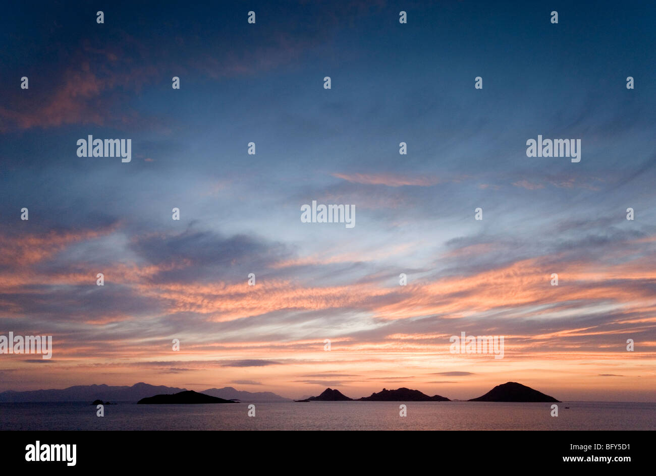 Yassi Ghalichi Instagram