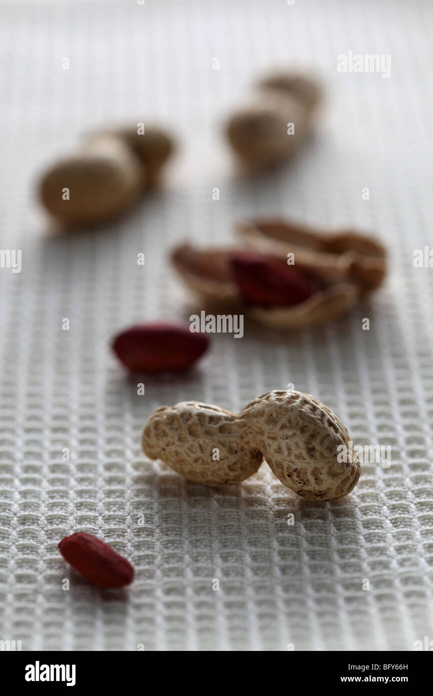Monkey nuts peanuts shelled shell Arachis hypogaea roast red skinny eat ...