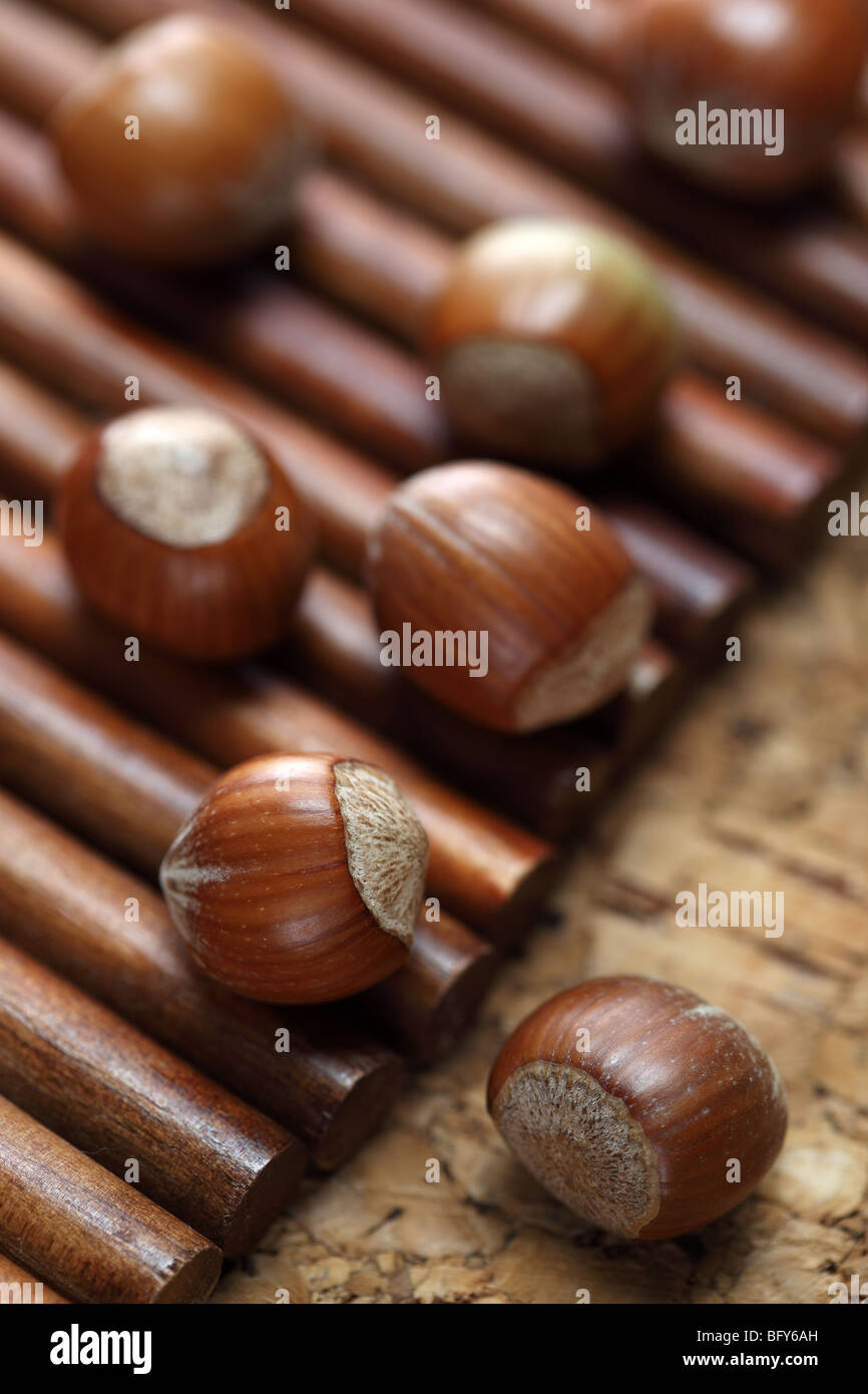 Filberts nuts hi-res stock photography and images - Alamy