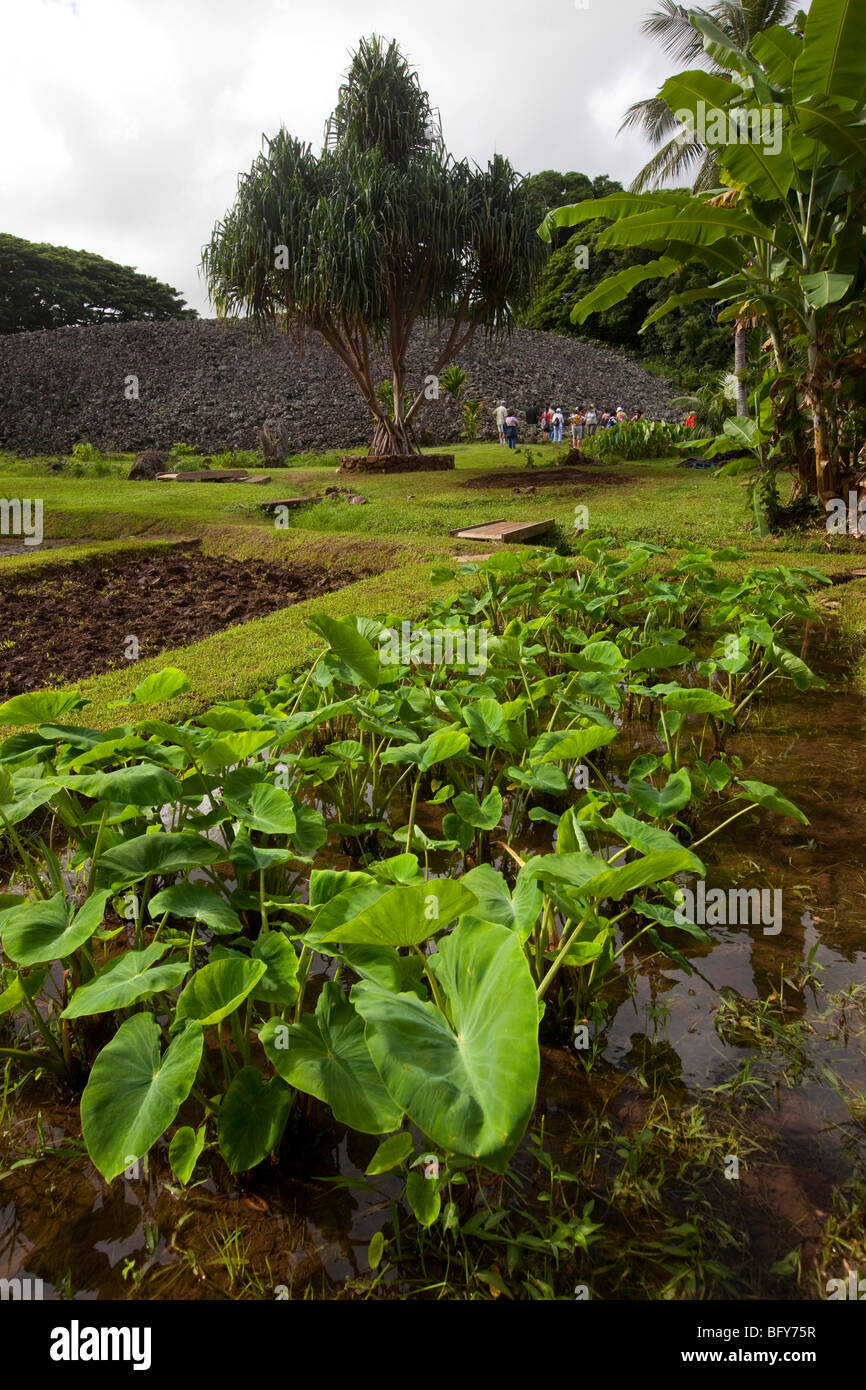 Heiau oahu hi-res stock photography and images - Alamy