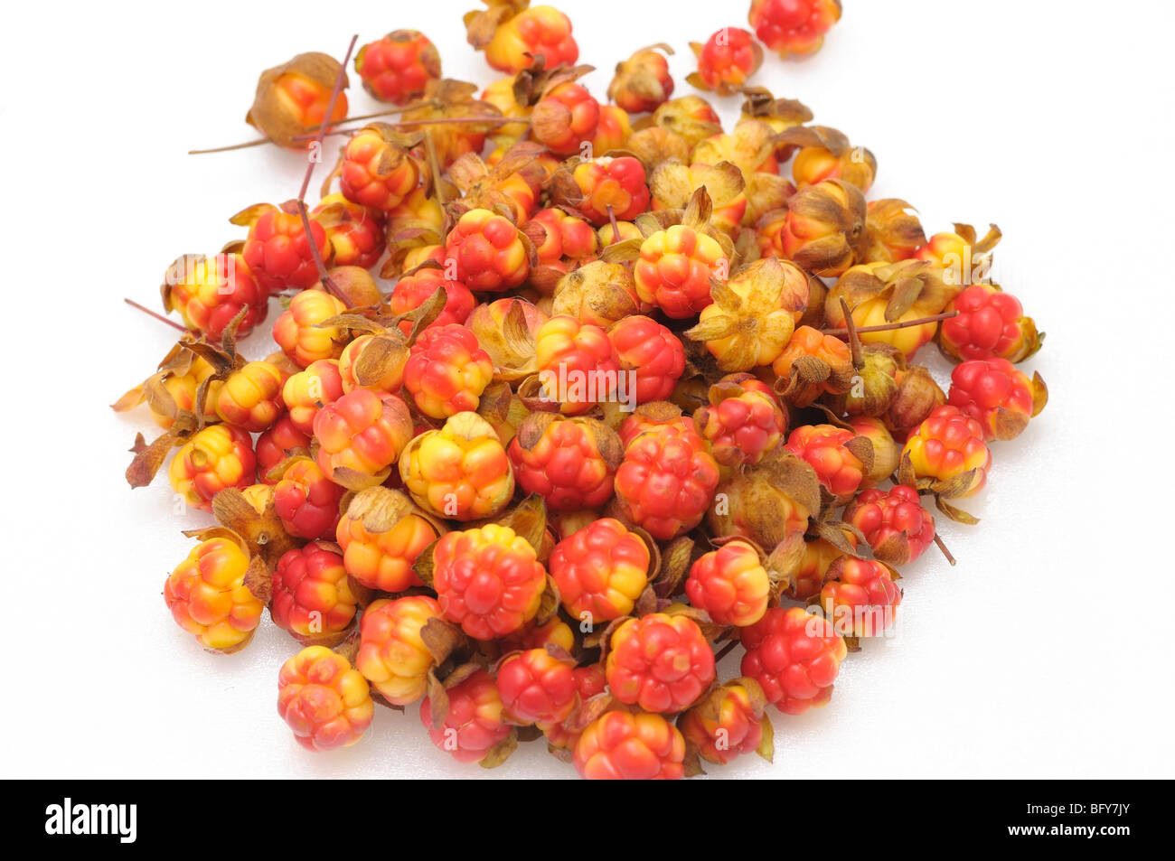 Chamaemorus hi-res stock photography and images - Alamy