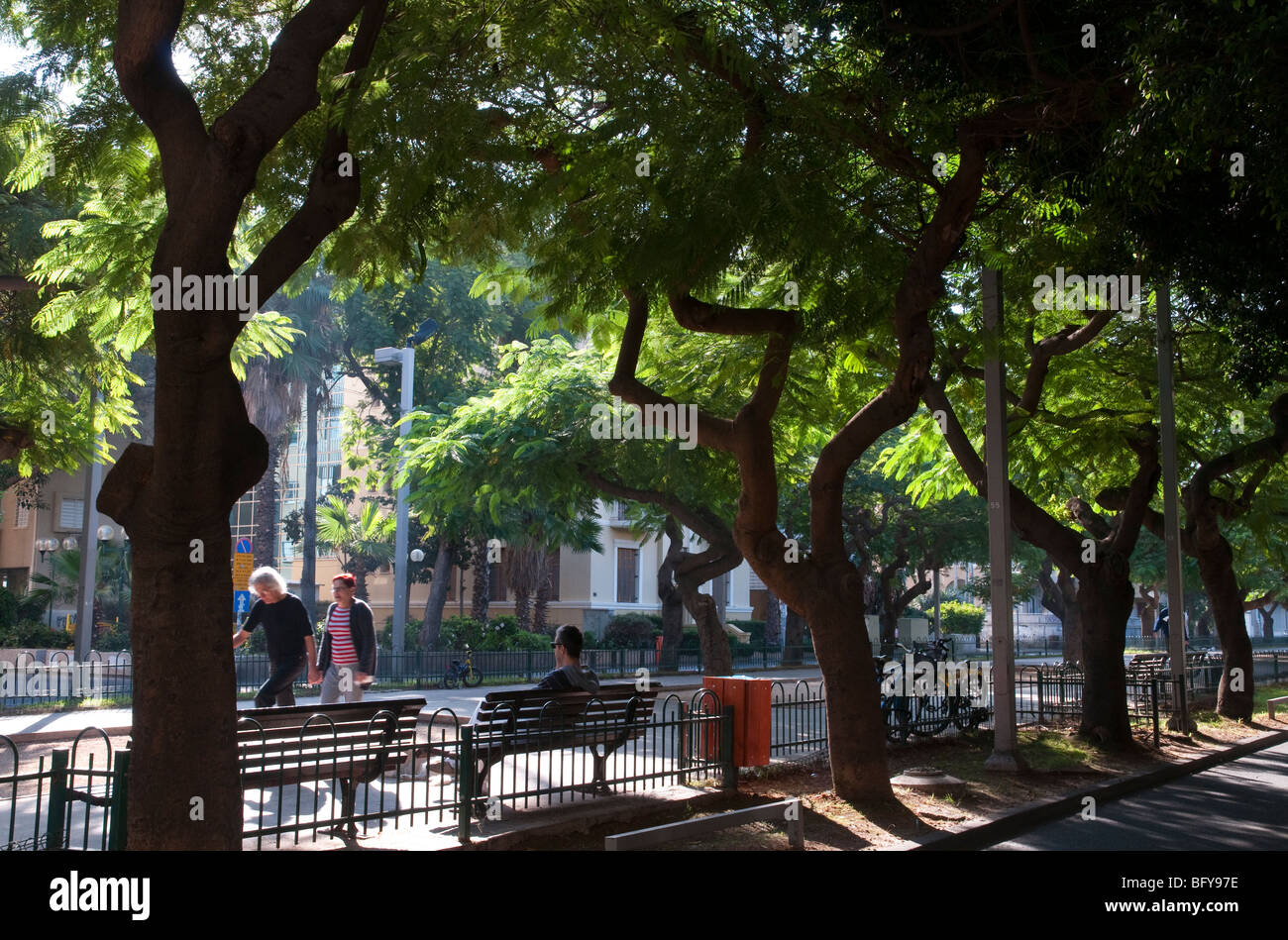 Rothschild boulevard pedestrian promenade in Tel Aviv. people enjoying ...