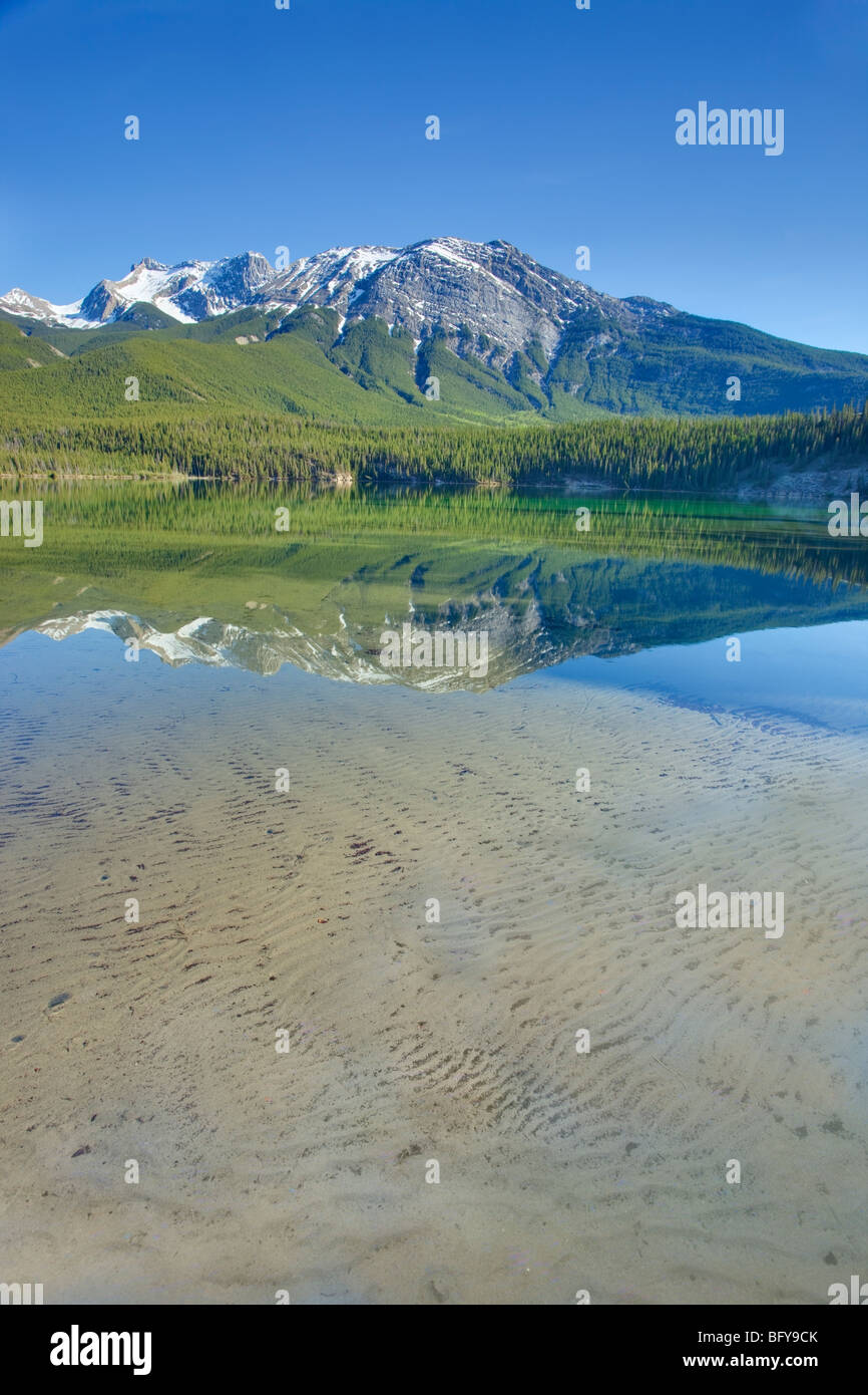 Talbot lake jasper national park hi-res stock photography and images ...