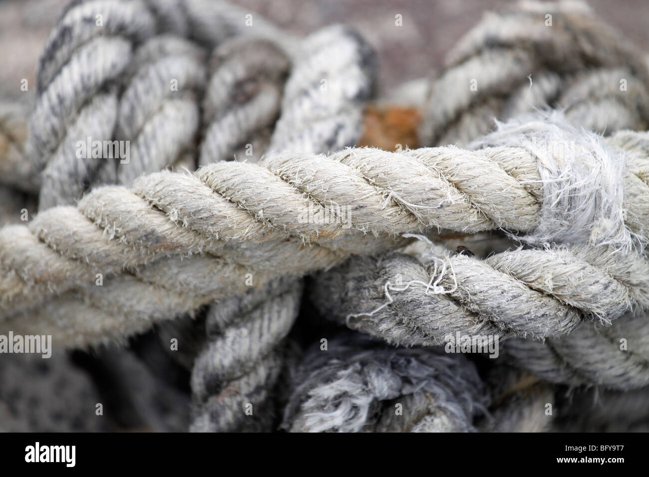Weathered mooring rope at Kalk Bay harbour South Africa Stock Photo - Alamy