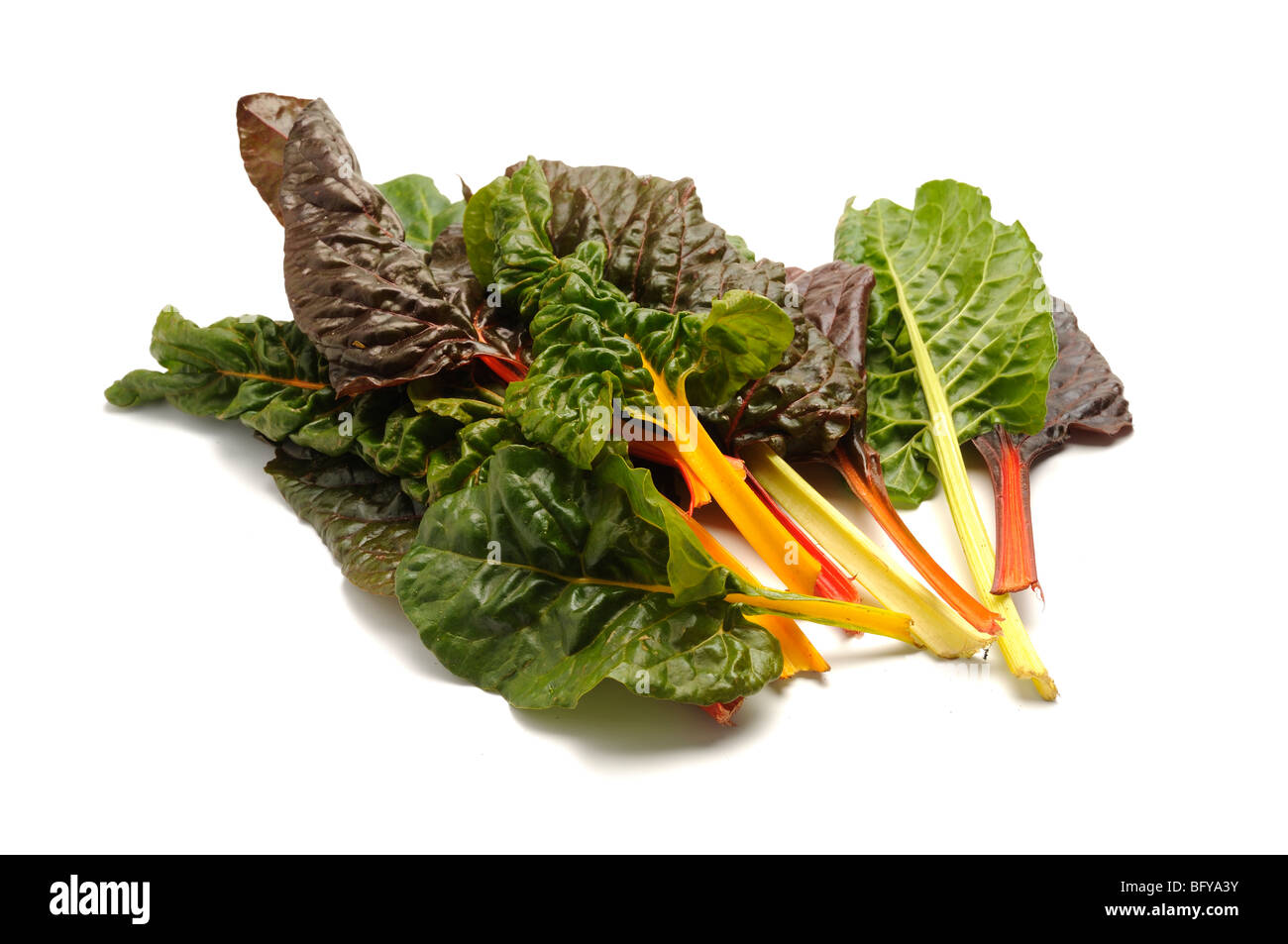 Swiss Yellow Chard High Resolution Stock Photography and Images - Alamy