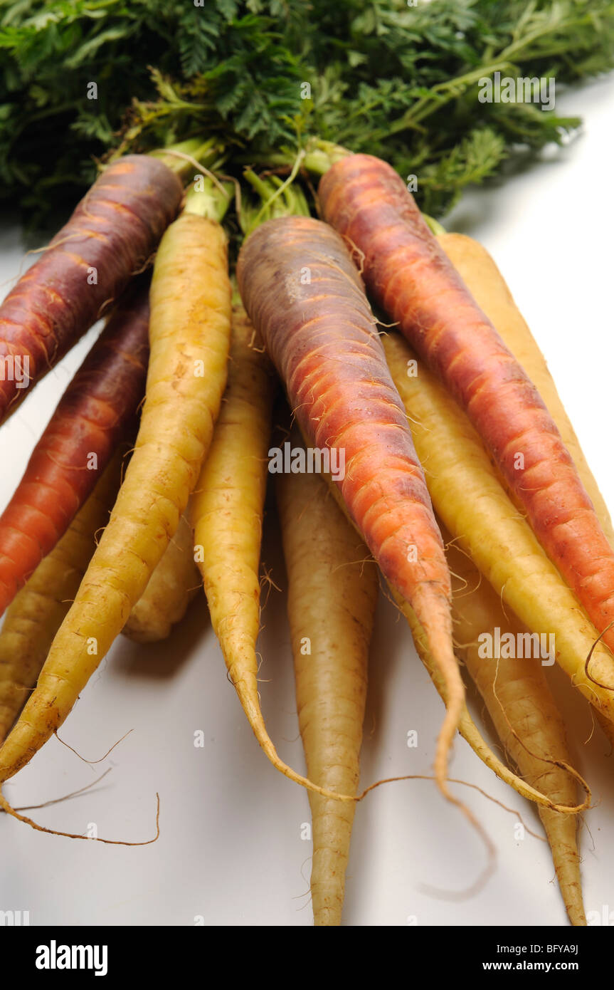 Coloured varieties hi-res stock photography and images - Alamy