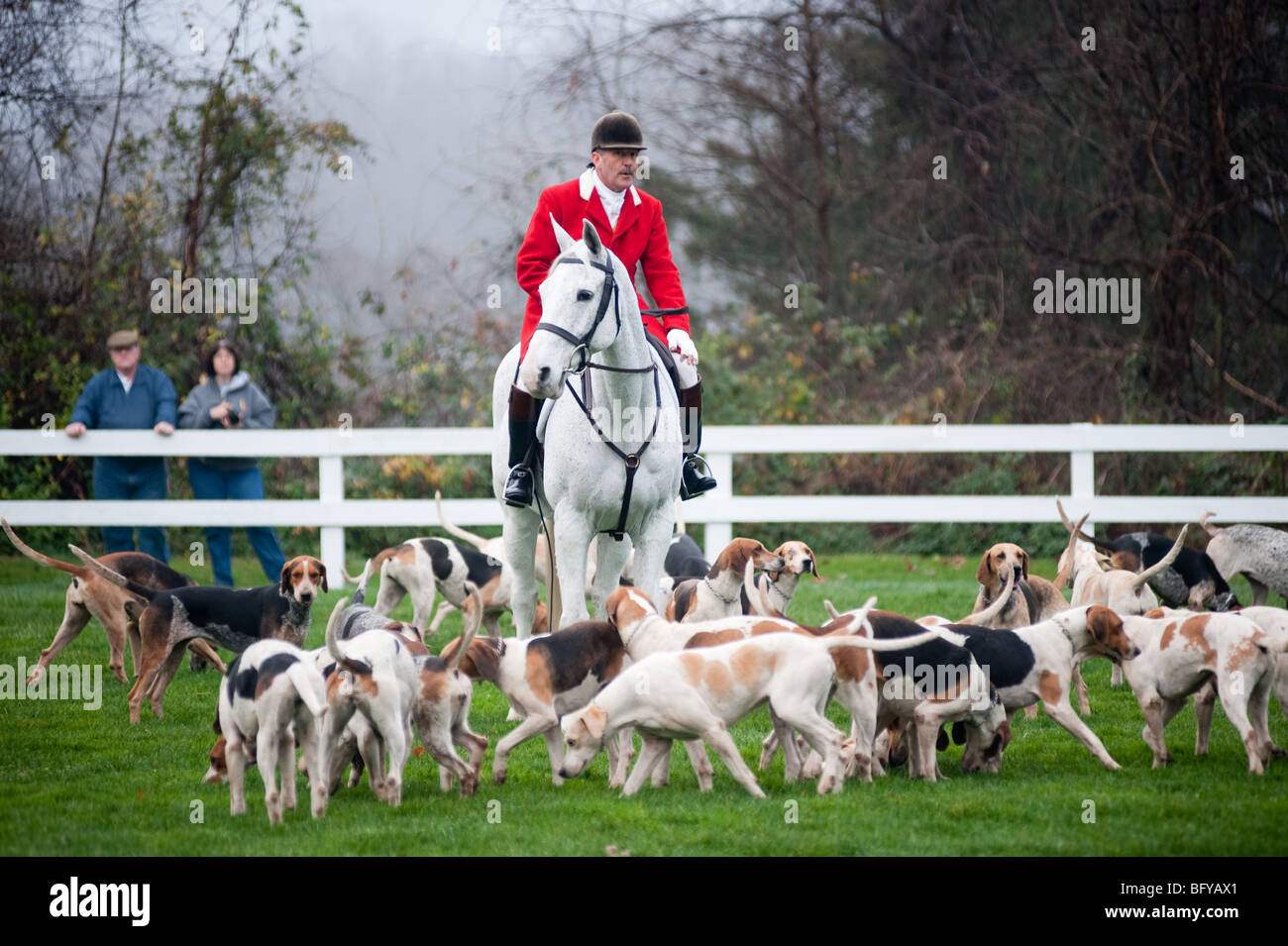 Fox Hunting, Blessing of the Hounds , Elkridge Harford Hunt club Stock ...