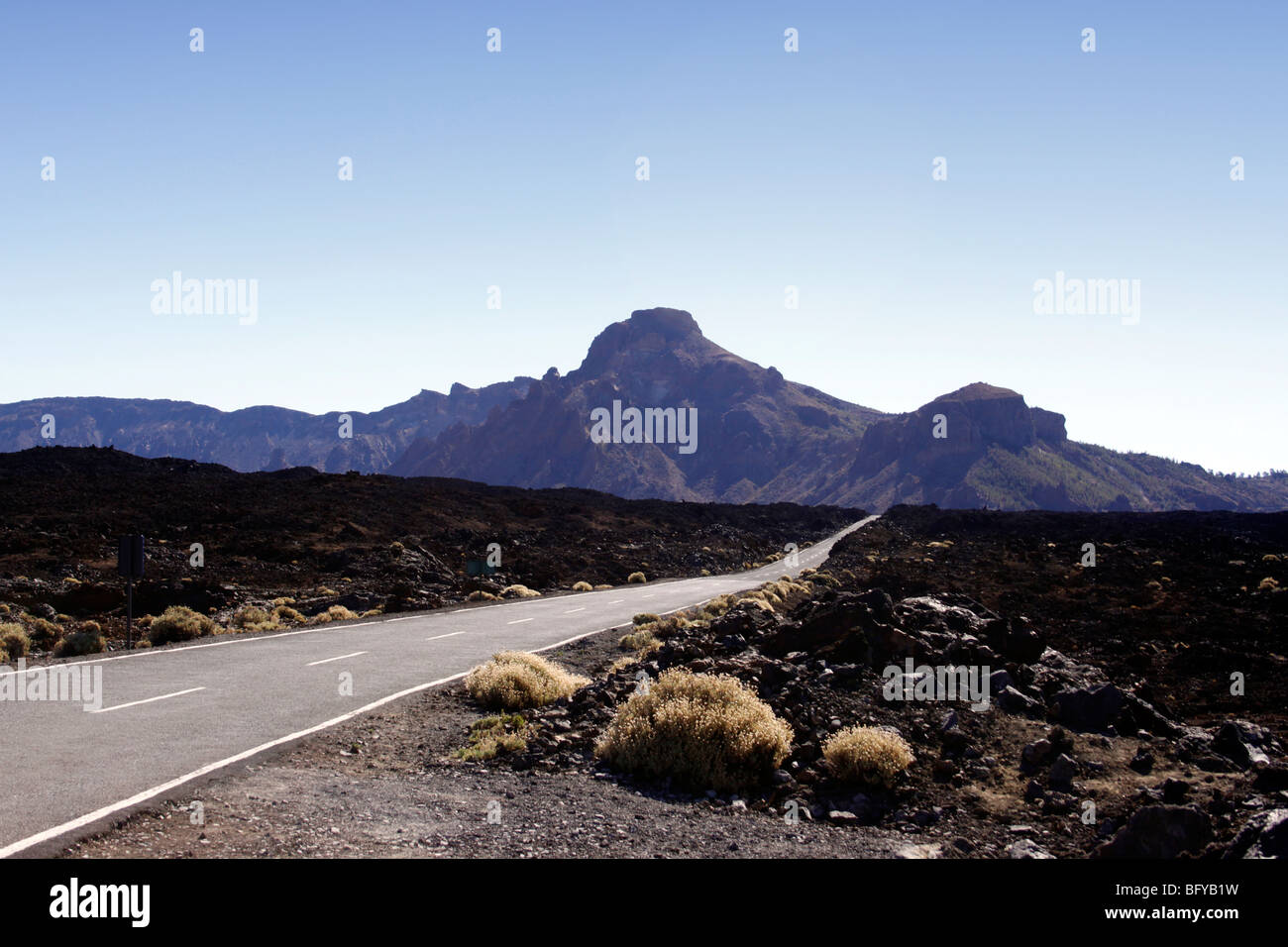 Montafia del cedro hi-res stock photography and images - Alamy