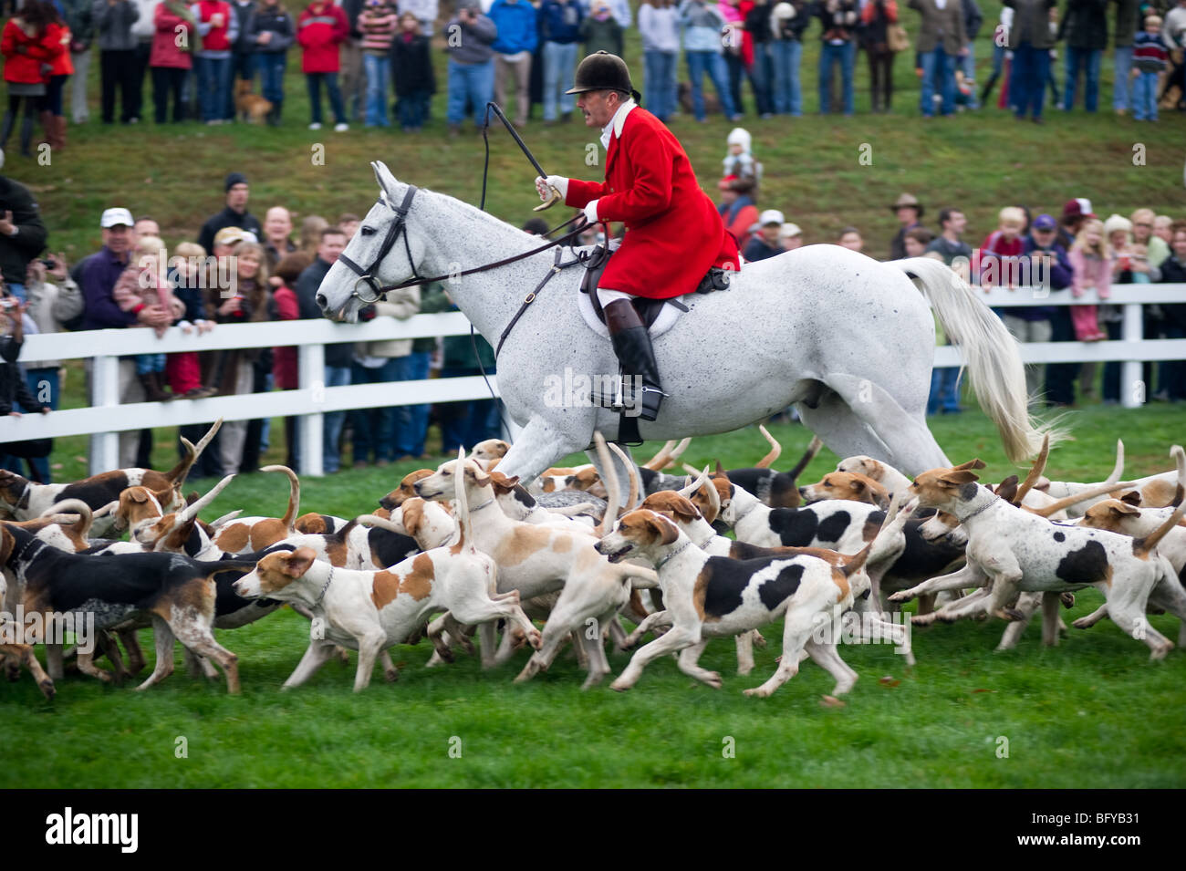 Fox hunting tradition hi-res stock photography and images - Alamy