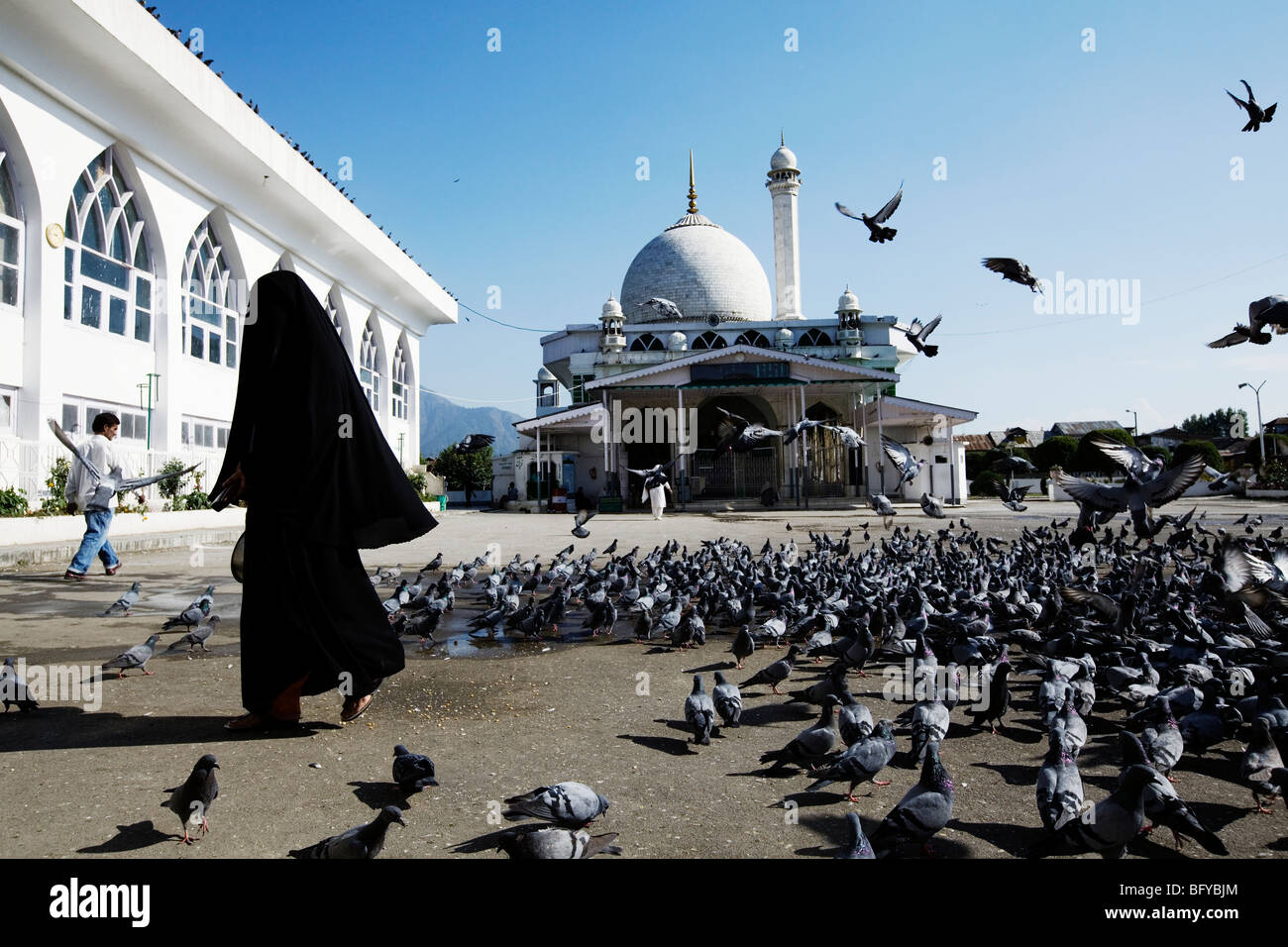Muslim woman feeding thousands of pigeons in front of Hazradbal Mosque ...