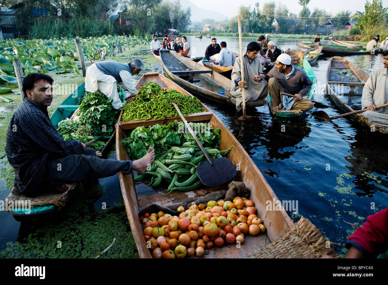 Floating vegetable hi-res stock photography and images - Alamy