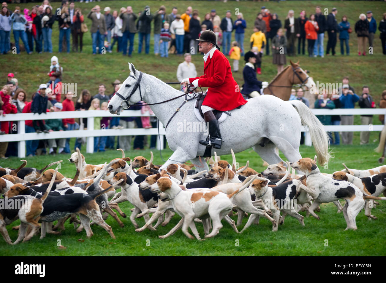 Fox Hunting, Blessing of the Hounds , Elkridge Harford Hunt club Stock ...